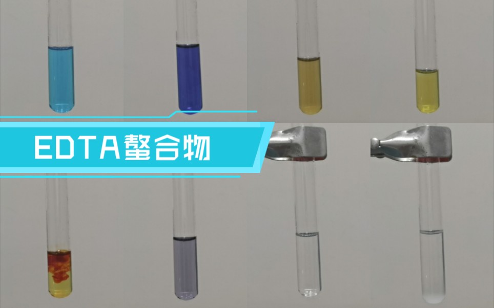 【化学】探究EDTA-金属阳离子螯合物