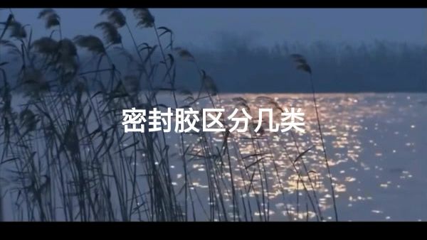 全面了解双组份聚氨酯密封胶 #密封胶 #专业生产厂家