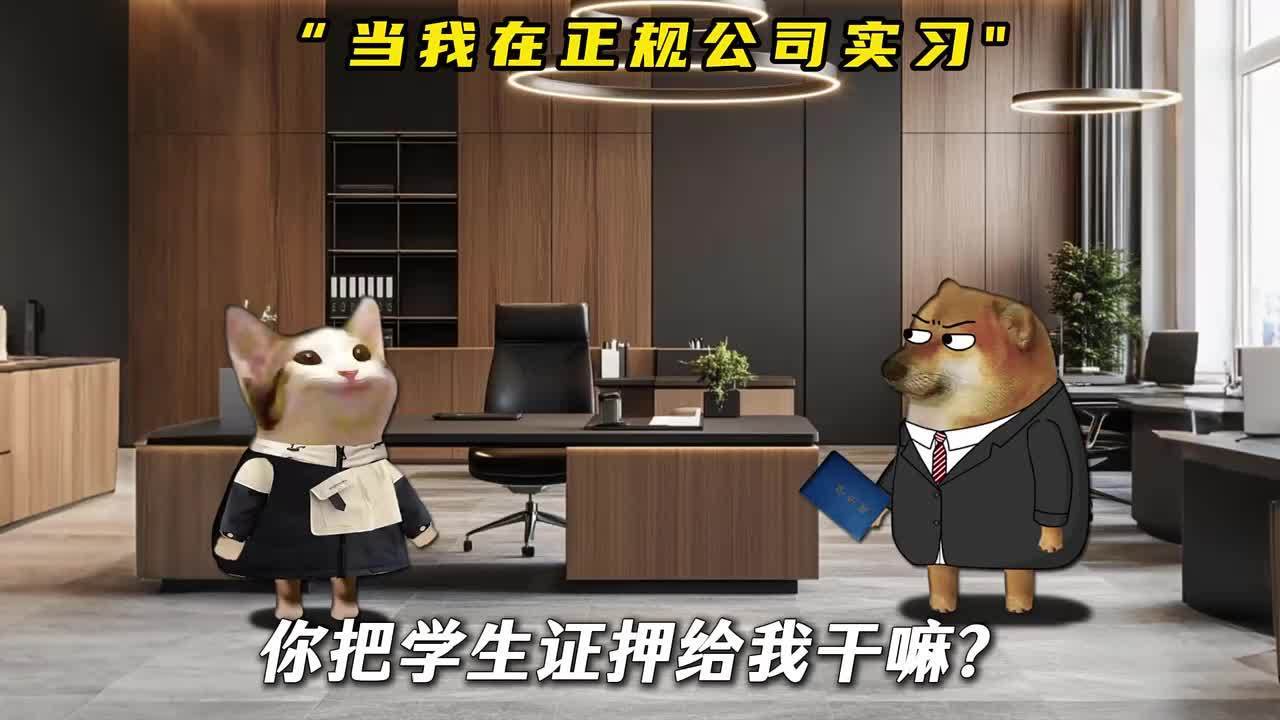 当大学生第一次到正规公司实习!