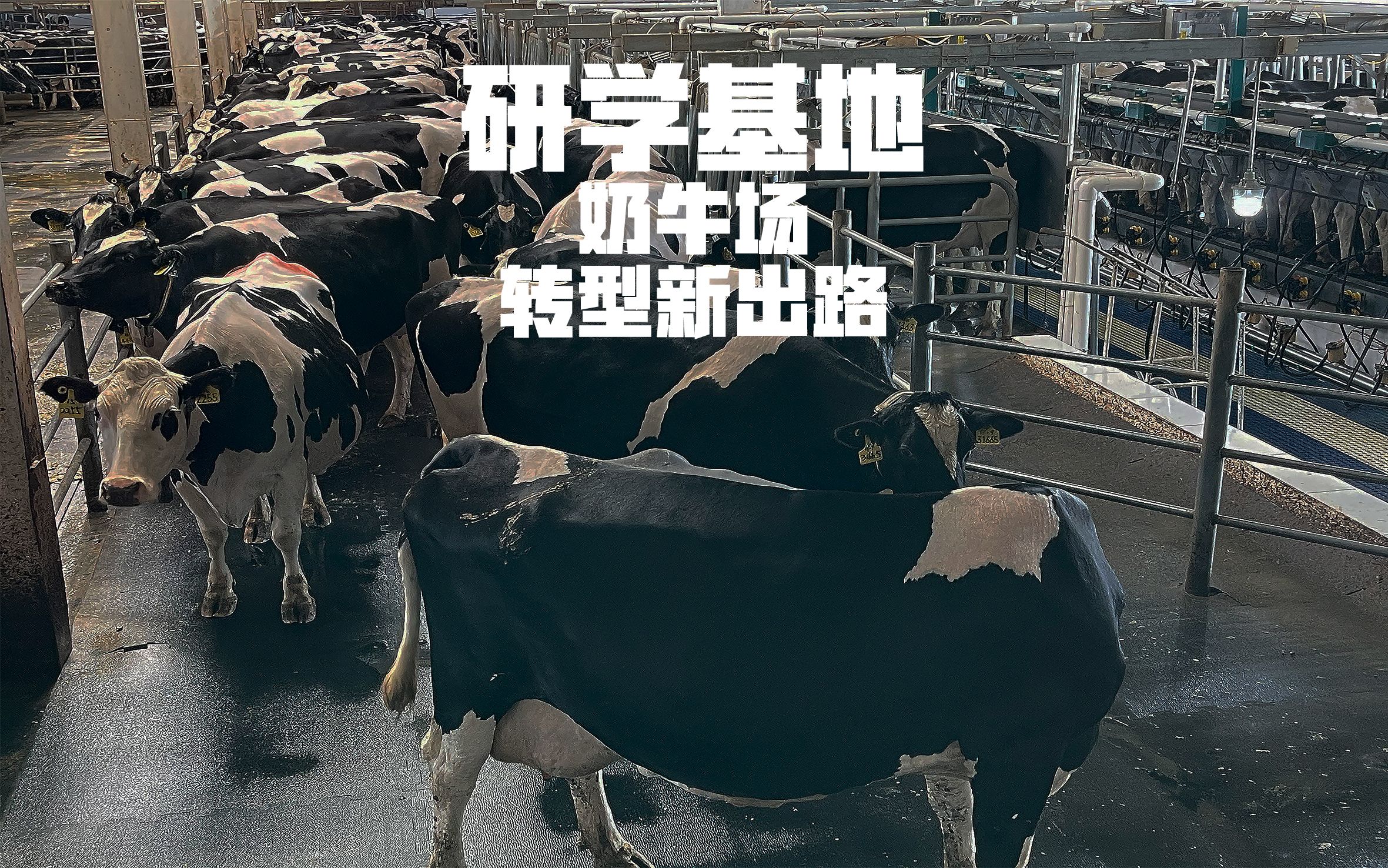 农场转型:研学基地