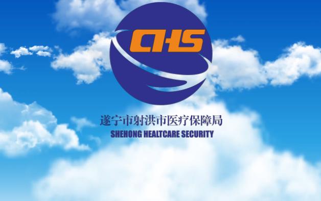 射洪市医保局基金监管演讲