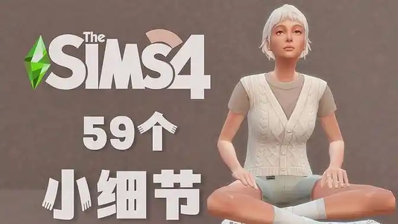 模拟人生4游戏中的小细节