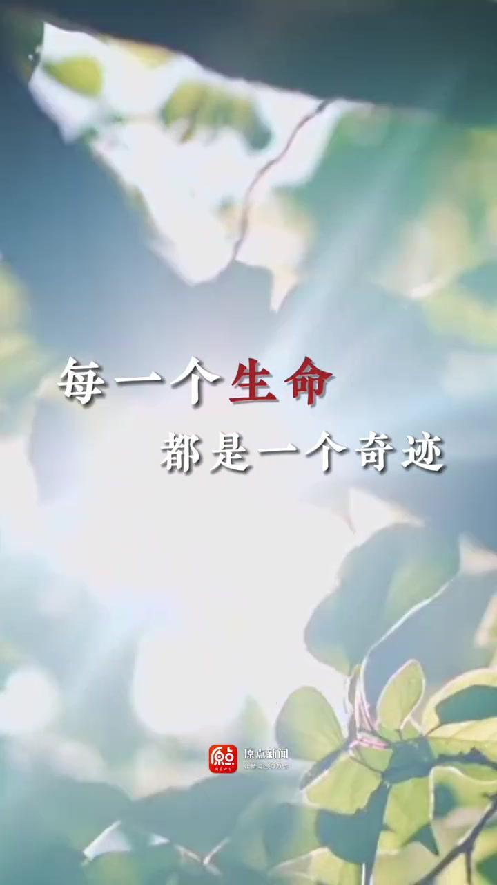 世界献血者日|二十年来庆祝给予生命礼物:感谢你,献血者!#世界献血者...