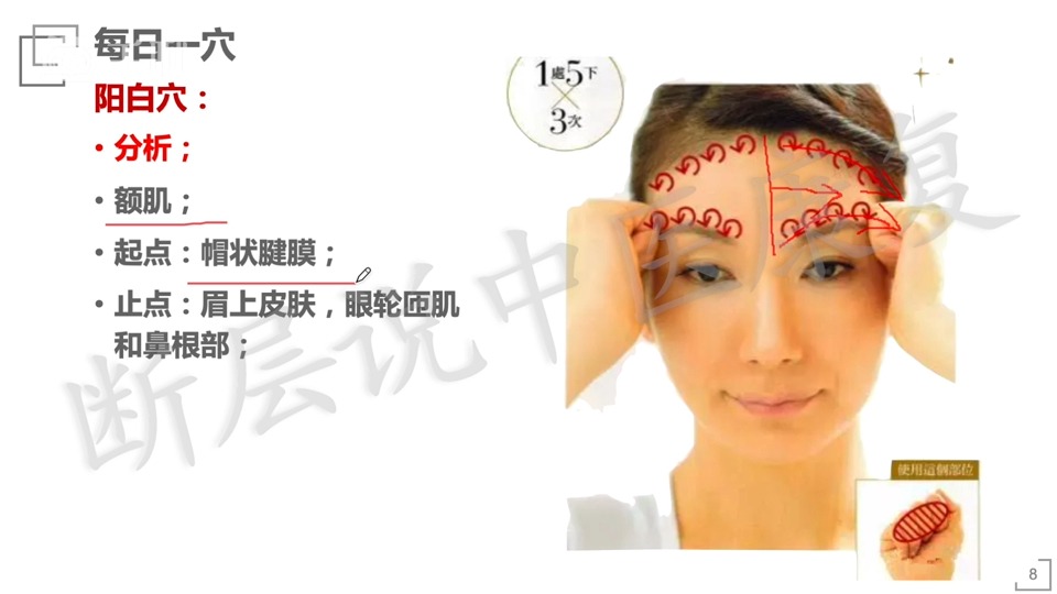 02【每日一穴】阳白穴——“雄鸡一唱天下白”额头上的肌肉与筋膜