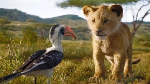 速看2019版《狮子王》,真实版狮子王热播,高度还原动画片
