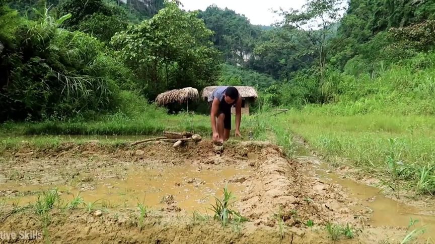 原始技术 - 种植技术_稻谷播种方法 - 第3部分