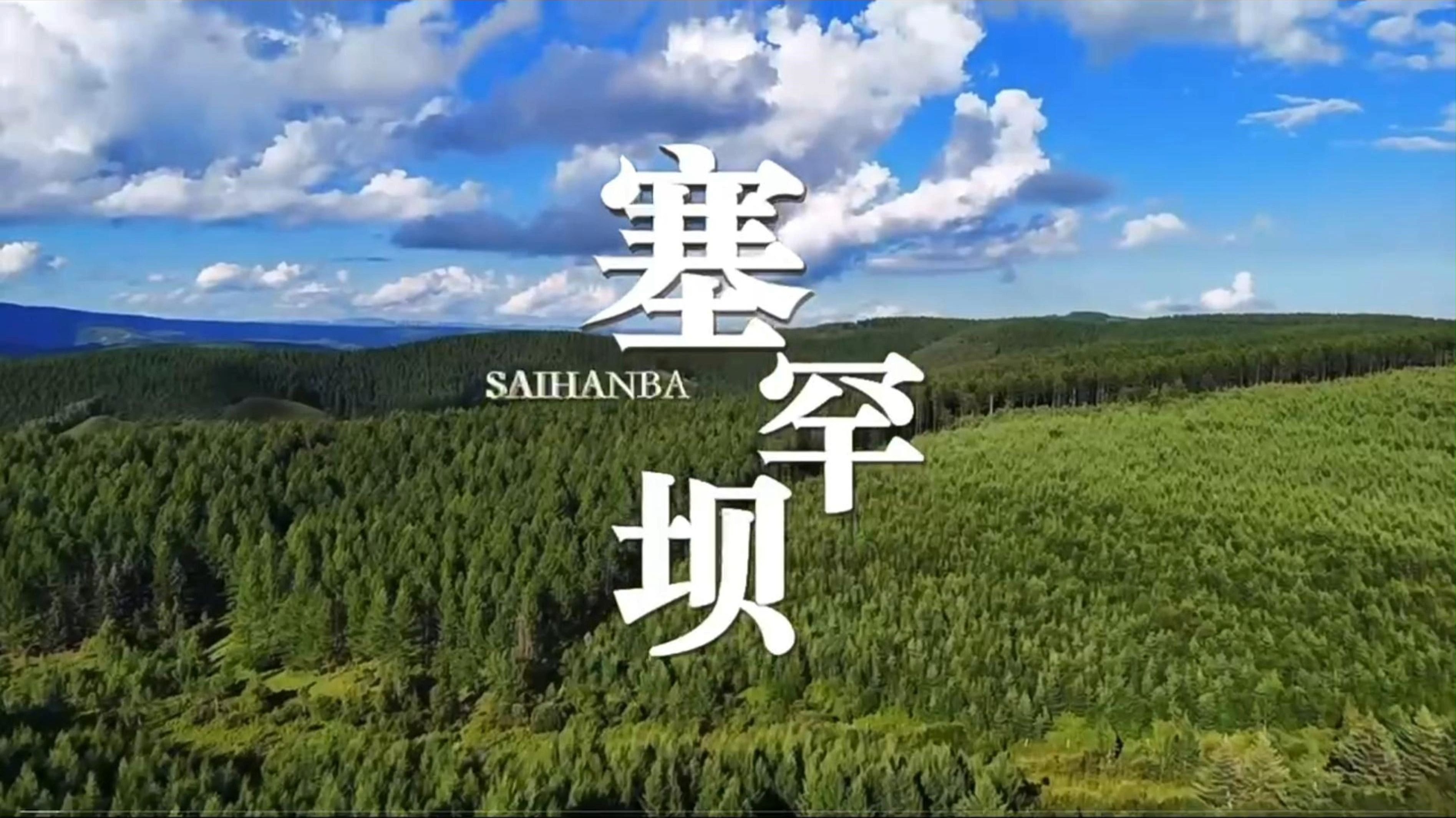 塞罕坝林场:荒漠重生奇迹