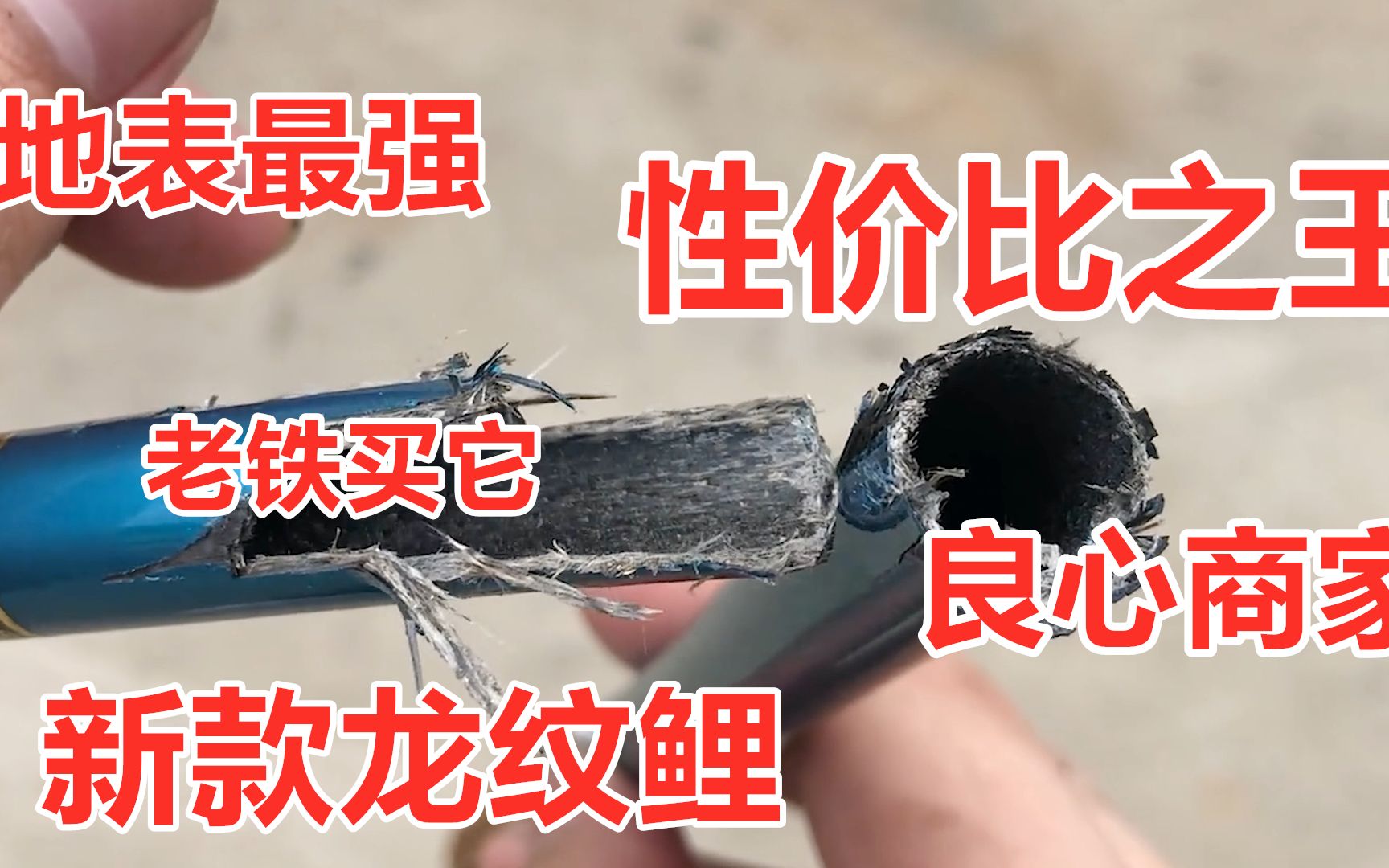 拼多多三十元龙纹鲤测评,把鱼竿的价格“打下去”!