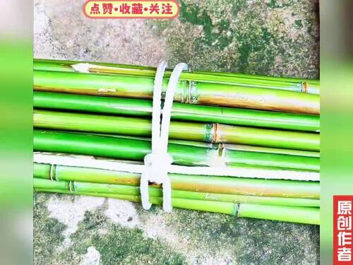 寻找生活中的小窍门,为生活增添更多色彩活力