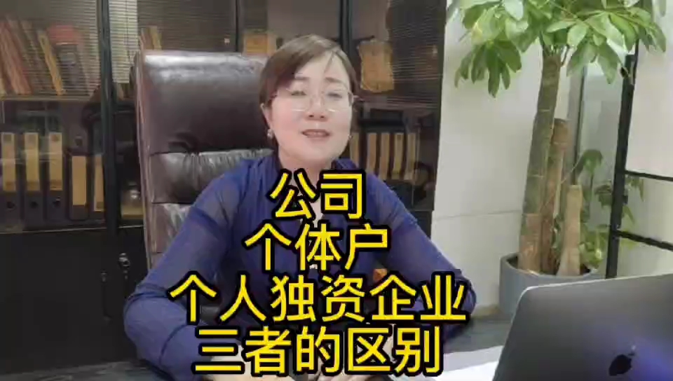 公司、个体户、个人独资企业三者有什么区别