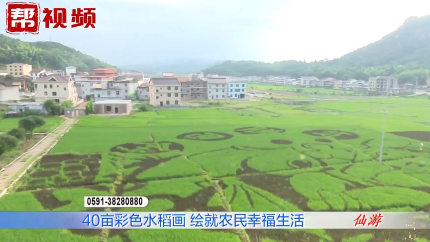 美呆了!40亩稻田绘画巨幅彩色水稻画,绘就农民幸福生活