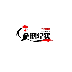 企鹅纪实 