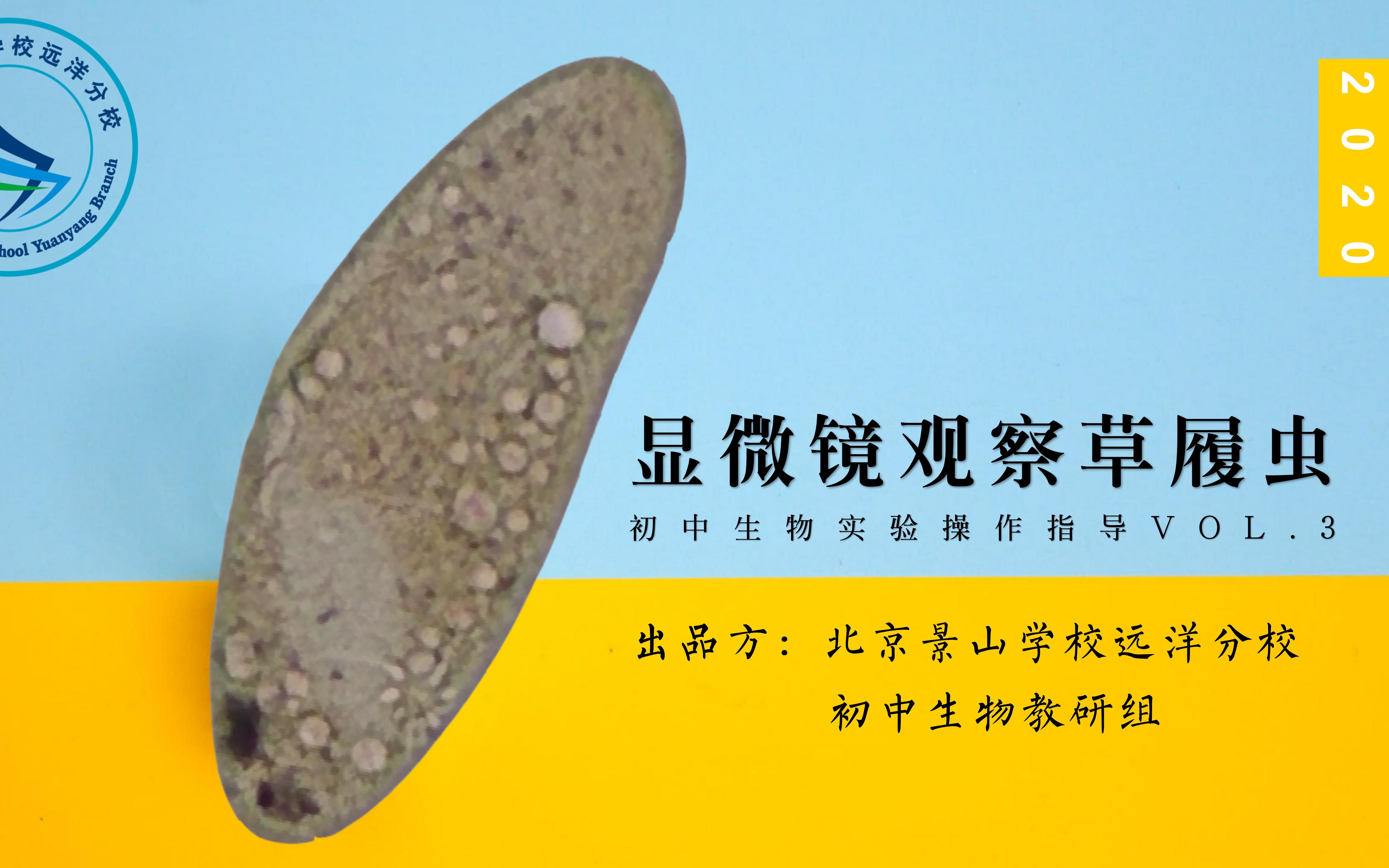 实验操作微课3-显微镜下观察草履虫