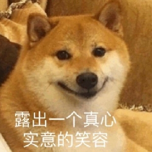 驼驼驼老师 