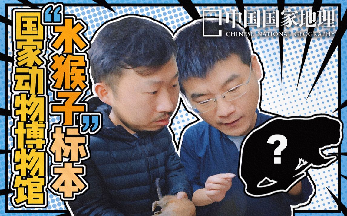 来国家动物博物馆,别错过这几件展品!馆长亲自讲解