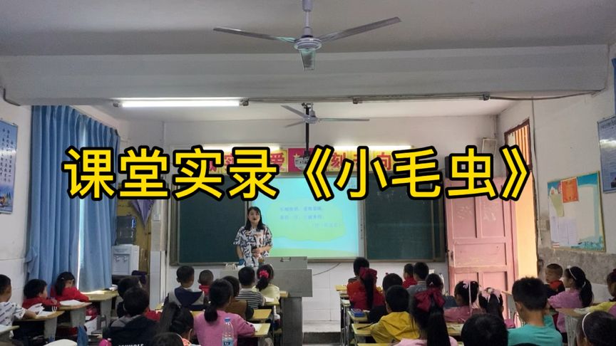 课堂实录《小毛虫》导入