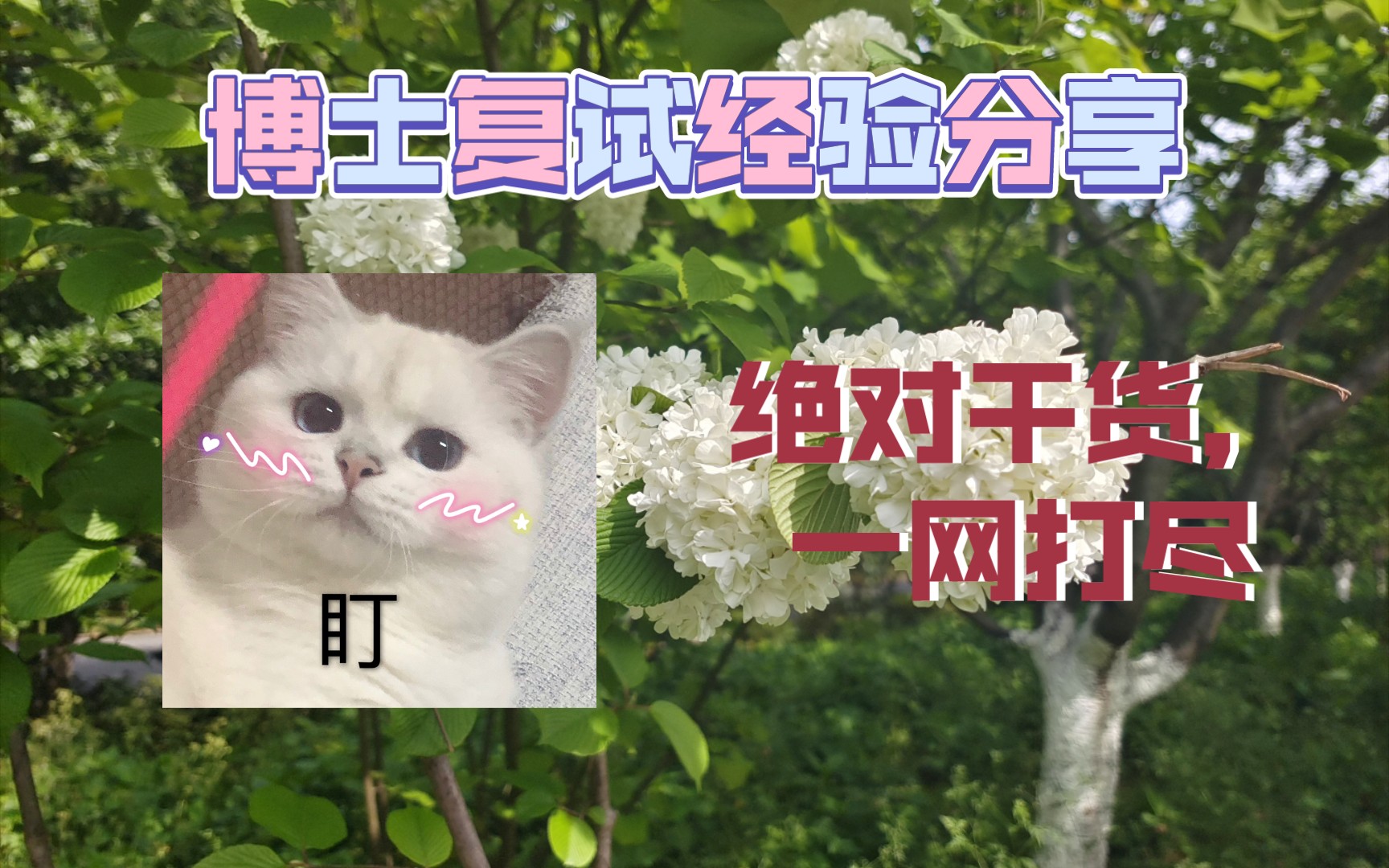 建议收藏!超全985管理学博士复试经验分享