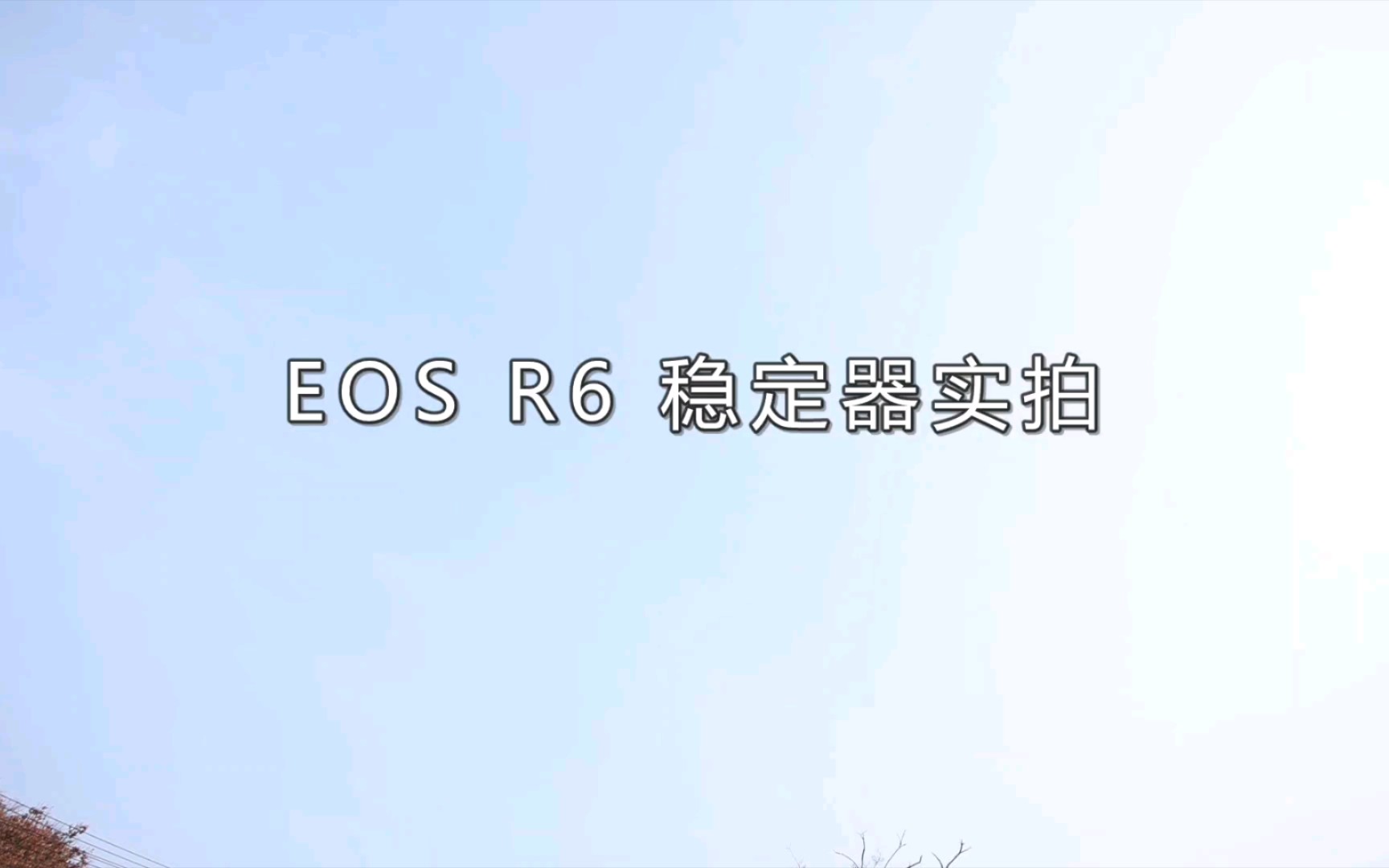 EOS R6 稳定器实拍