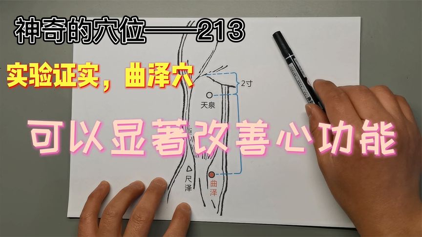 神奇的穴位——试验证实,曲泽穴可以显著改善心脏功能。