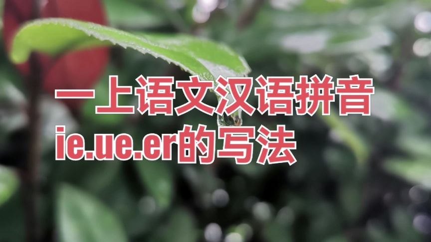 一上语文汉语拼音,ie.ue.er的写法