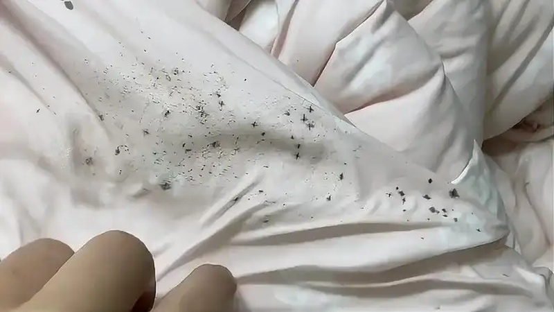 被子发霉怎么解决?霉斑清洁后,如何彻底去除异味?