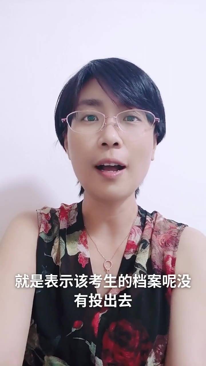 会显示考生电子档案的状态