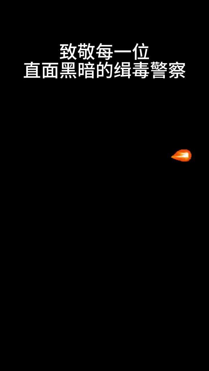 致敬每一位直面黑暗的缉毒警察,感谢你们用生命捍卫光明!
