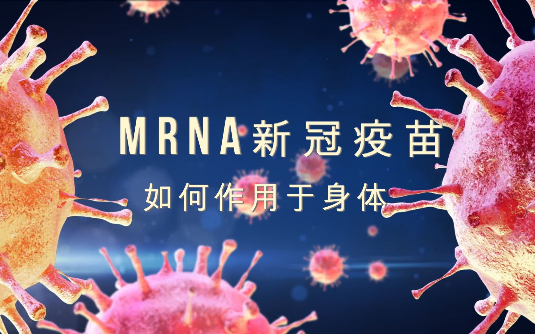 【mRNA新冠疫苗】如何作用于身体?