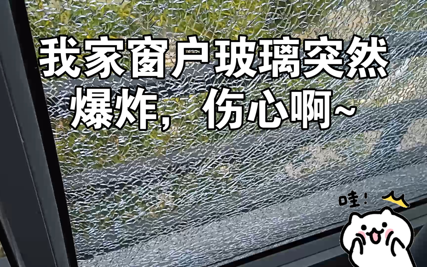 我家窗户玻璃突然爆炸…爆裂…裂了,我太伤心了