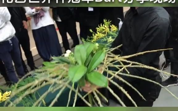 ...国家队花艺技能培训;花艺世界杯冠军Bart老师课程中花艺示范《一》