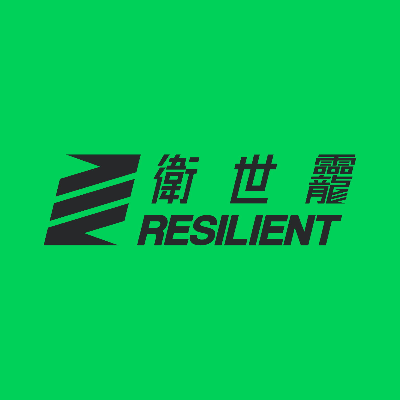 卫世龗RESILIENT 