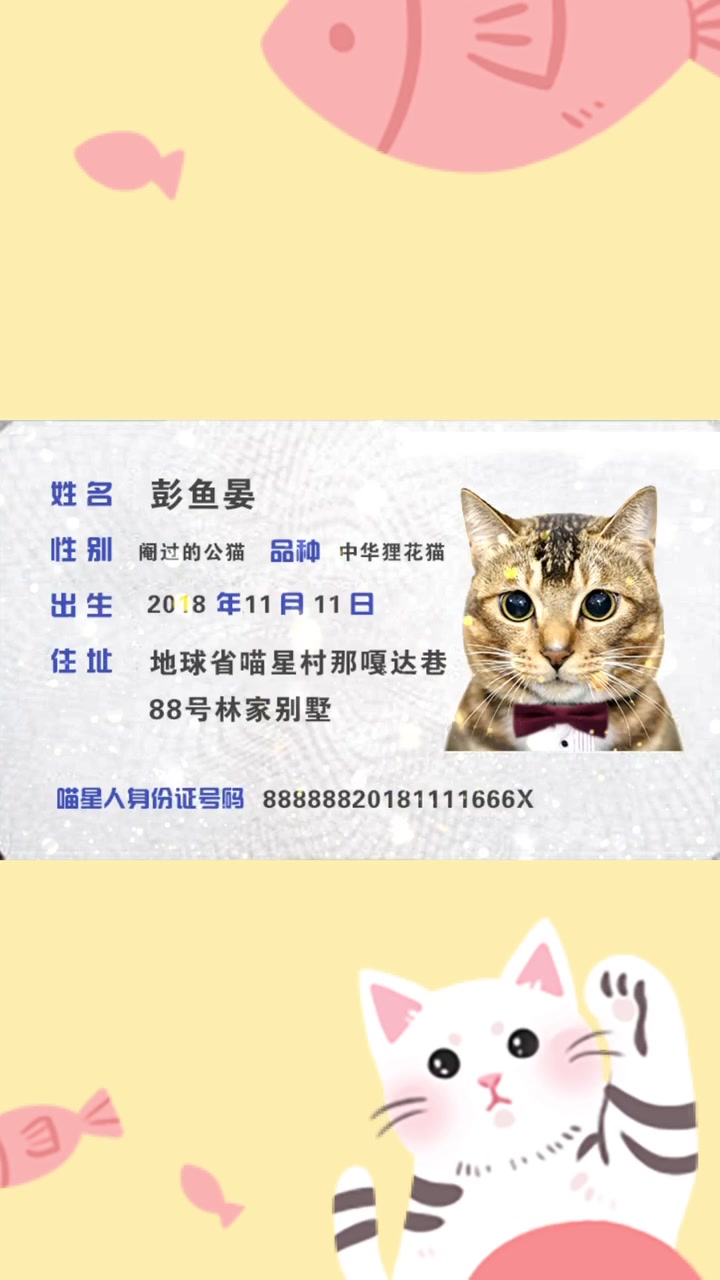 兄弟们,喵生建议:身份证上的照片一定要帅!#狸花猫
