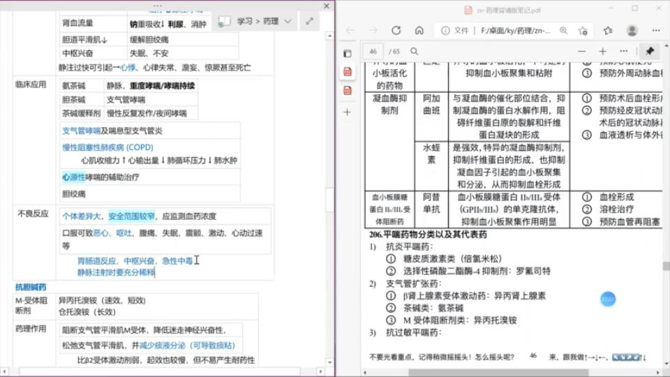 【study】药理学笔记|呼吸系统|OneNote|竹屿