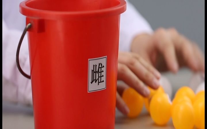 高中生物新教材-超清实验专题:19性状分离比的模拟实验(新人教必修2)