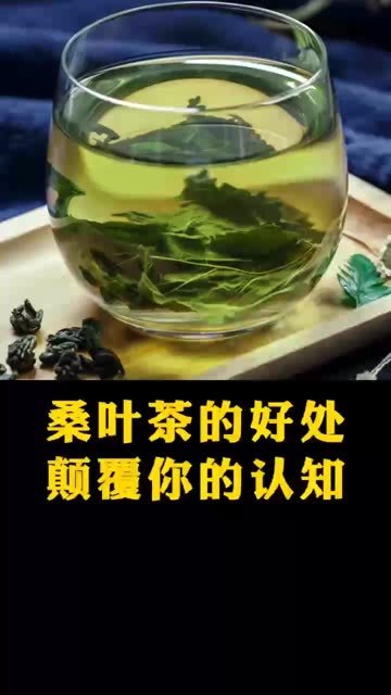 桑叶茶的好处太多了
