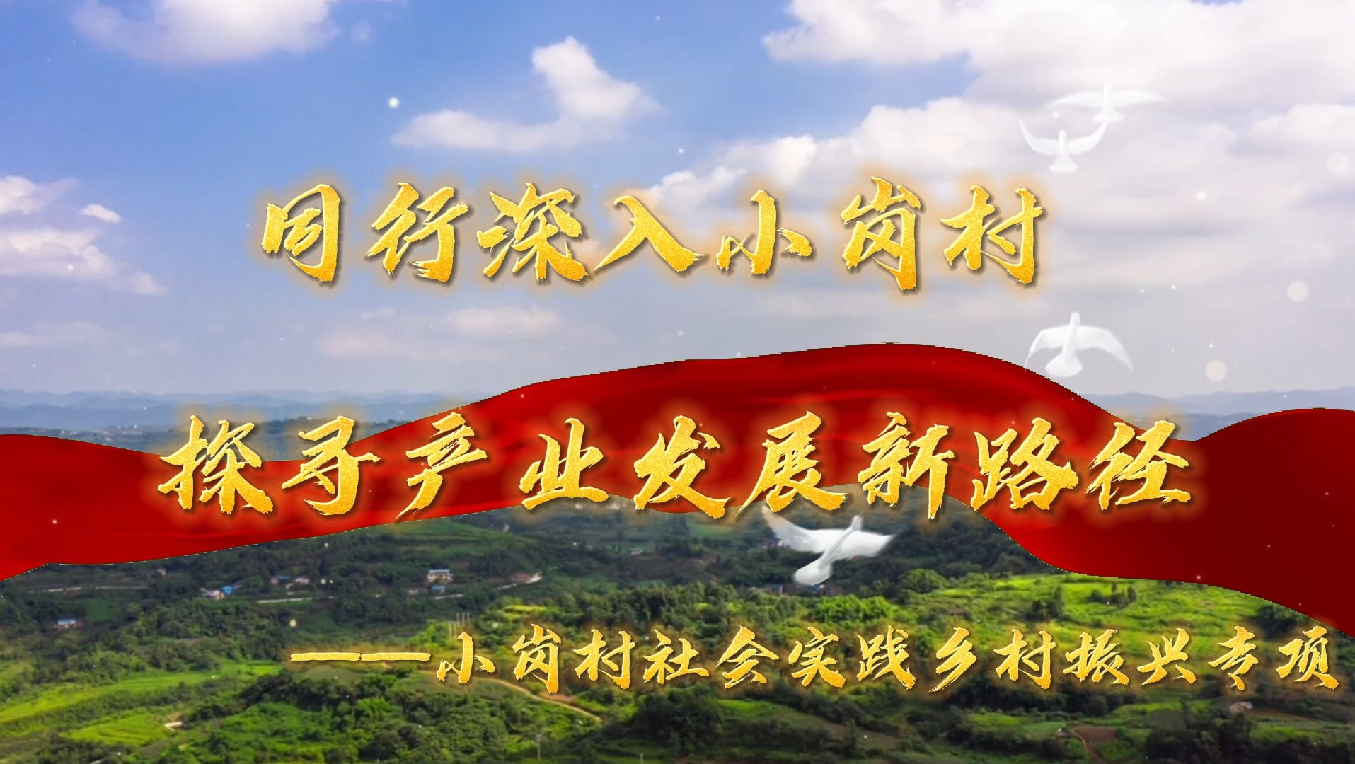2024年寒假社会实践活动作品1:《同行深入小岗村,探寻产业发展新...
