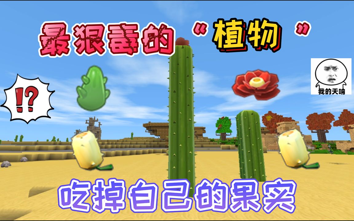 迷你世界:最狠毒的植物“仙人掌”它会吃掉自己果实,让自己消失