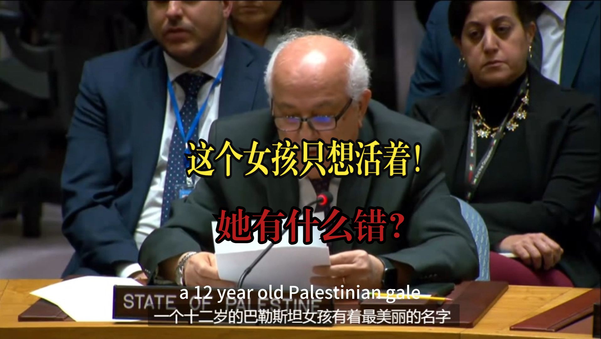 【原声】【中英双字幕】【机翻】联合国巴勒斯坦代表发言,感人泪下,...