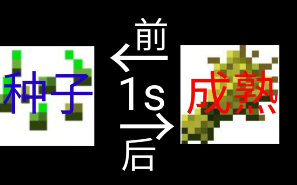 [我的世界]当你把植物生长的速度调到999倍会发生什么?