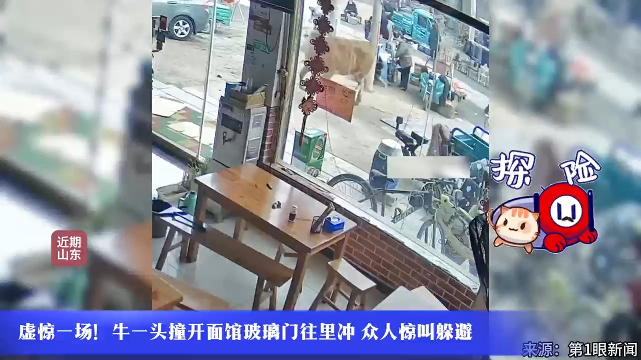虚惊一场!牛一头撞开面馆玻璃门往里冲 众人惊叫躲避