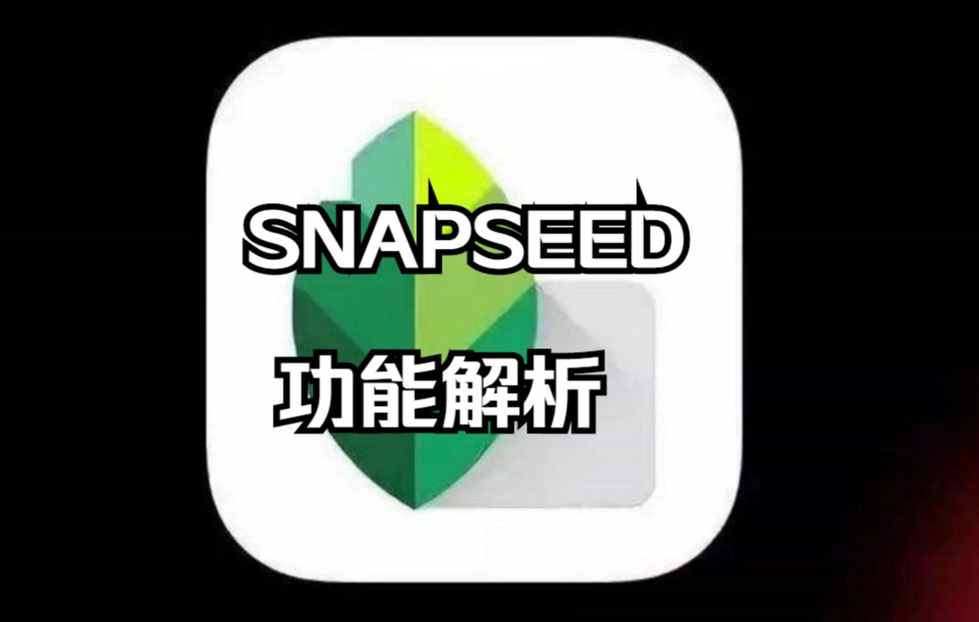 手机修图软件SNAPSEED介绍(一):4个小工具解析