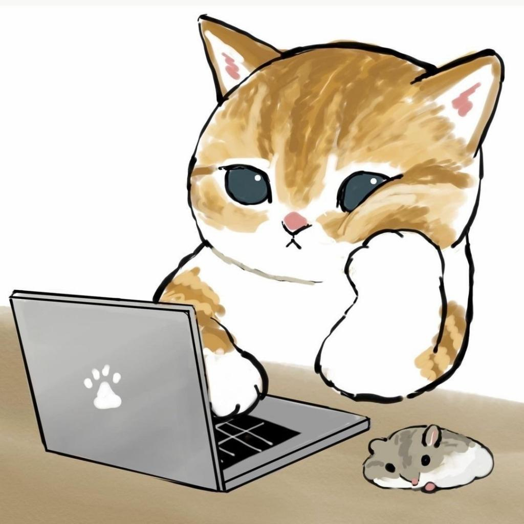随缘咖啡猫 