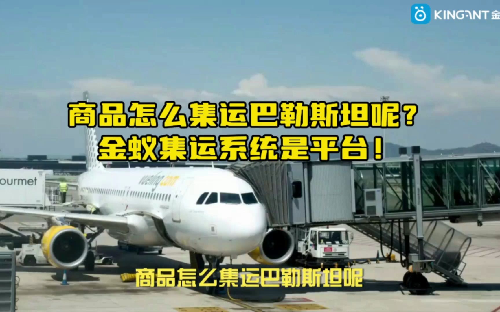 商品怎么集运巴勒斯坦呢?金蚁集运系统是平台!