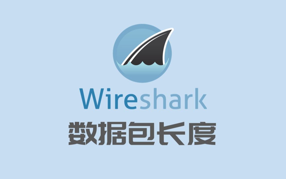 [T-888] Wireshark105 数据包长度