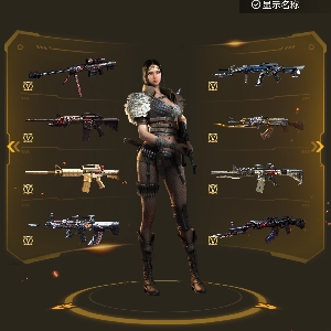 绝地求生VT 