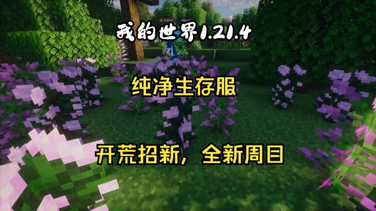 『新服开荒 暖光聚落』离线1.21.4 生存服务器JAVA服超高配置 不...