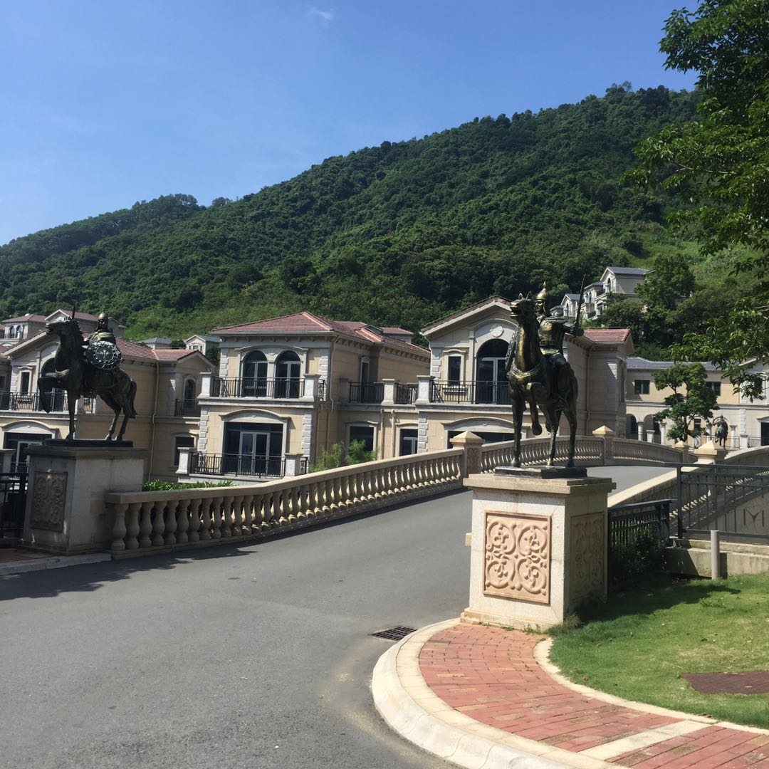 交易直播 