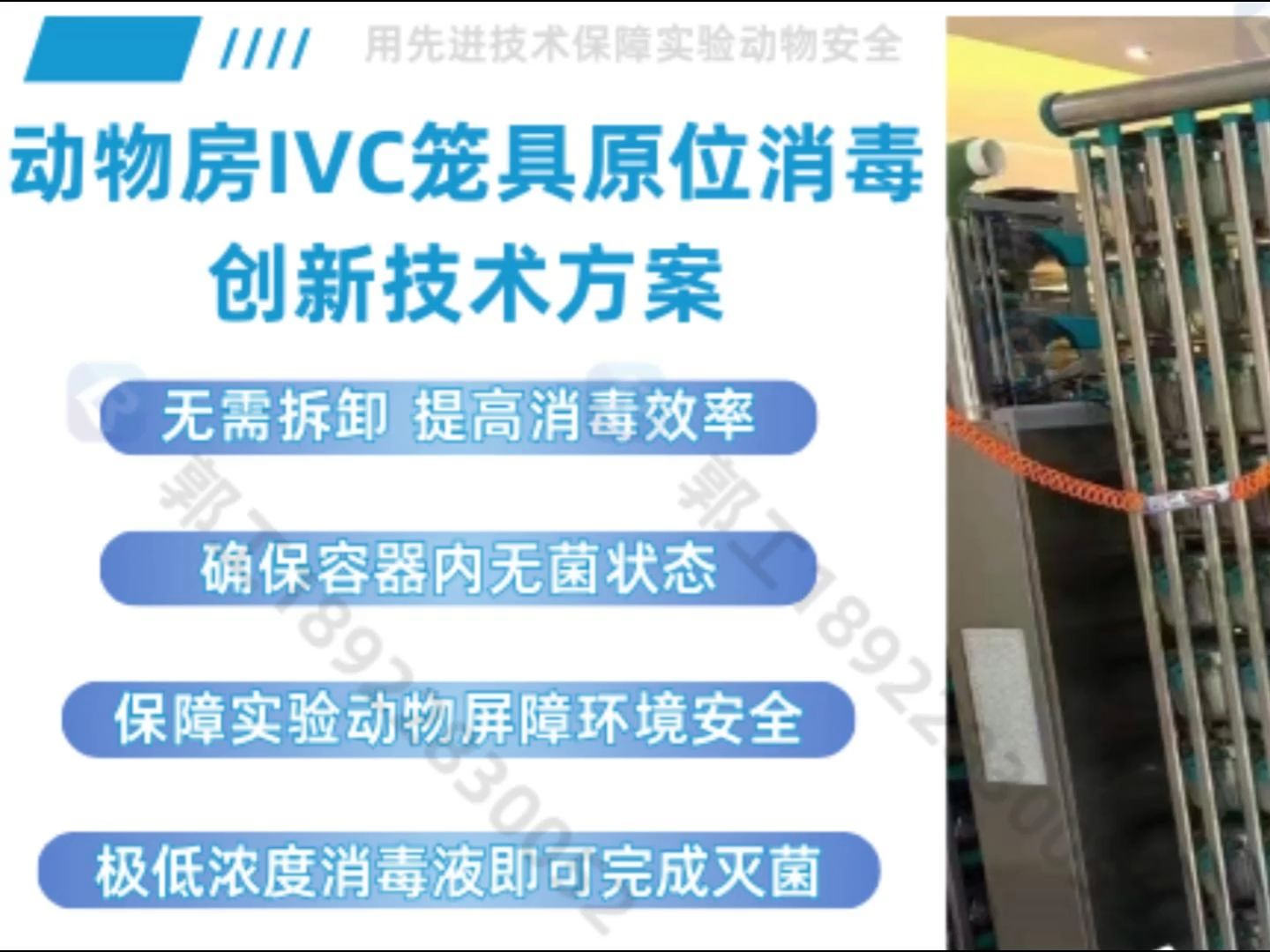 动物房IVC原位消毒灭菌,无需移动!保障实验动物环境安全