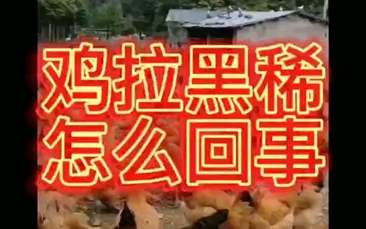 鸡拉黑稀怎么回事 鸡拉黑屎是怎么回事