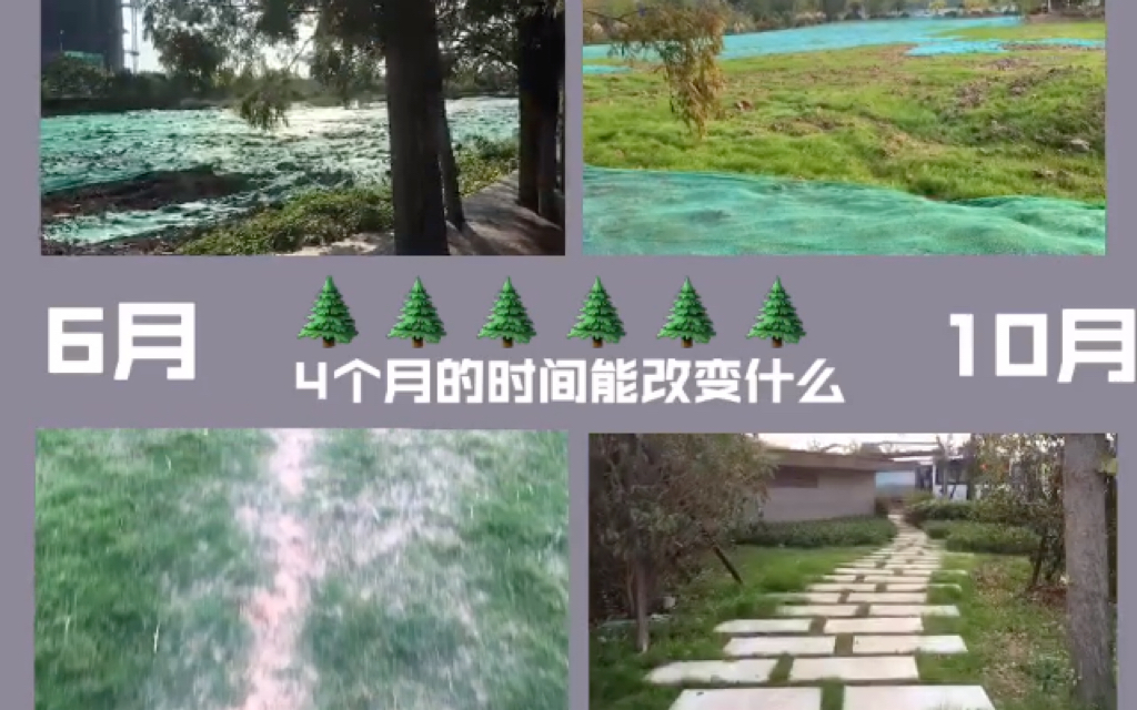 和实习说拜拜吧!四个月的实习能改变什么?在政府扶持企业工作是什么...